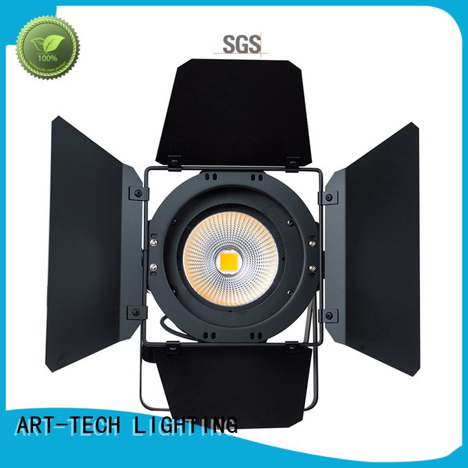 Professional 1pcs 100w Warm White Cob Led Par Light Supplier